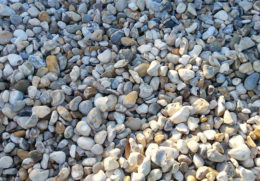 Garden Pebbles Cambridge – Cobbles for Landscaping